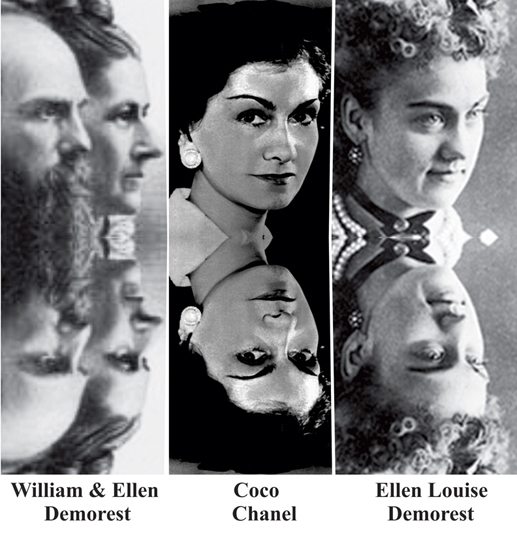 Reincarnation Research