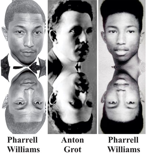 Reincarnation Research