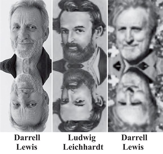 Reincarnation Research