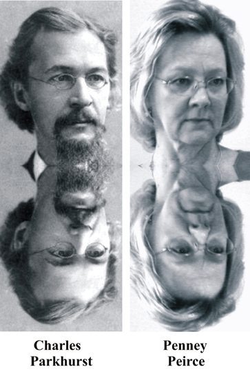 Reincarnation Research