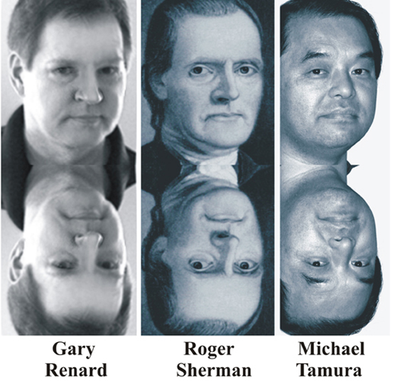 Reincarnation Research