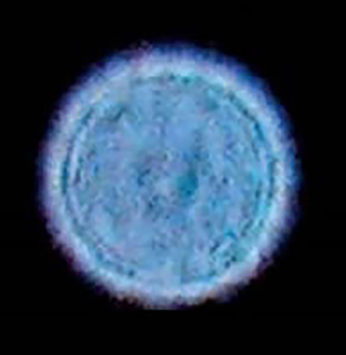 Reincarnation Research