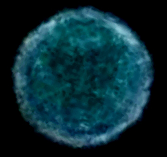 Reincarnation Research