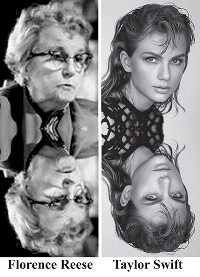 Reincarnation Research