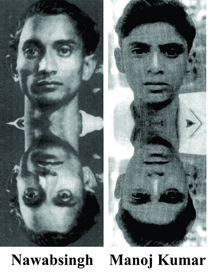 Reincarnation Research